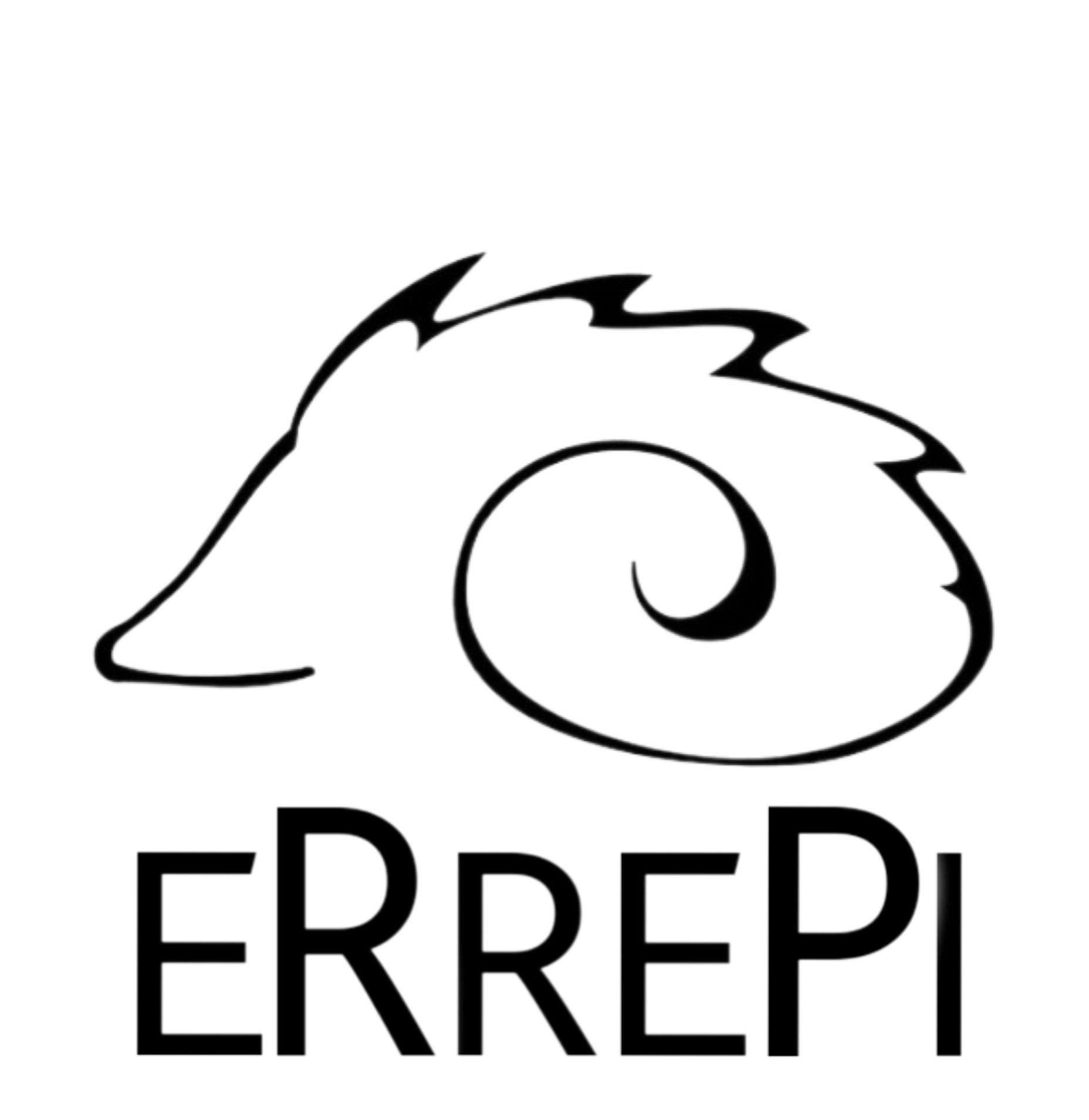 ERREPI - servizi tecnici